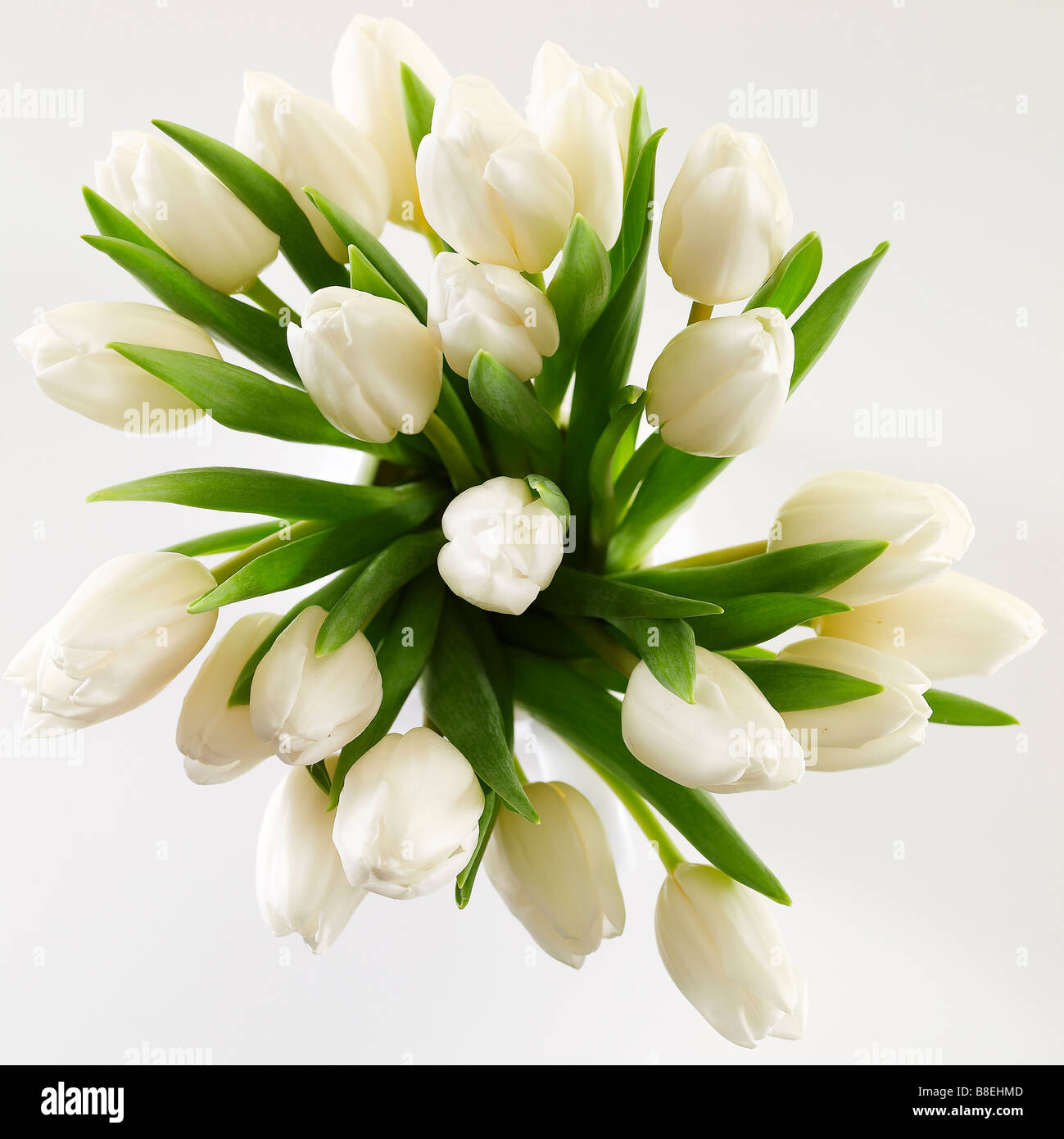 Overhead silo hi-res stock photography and images - Alamy