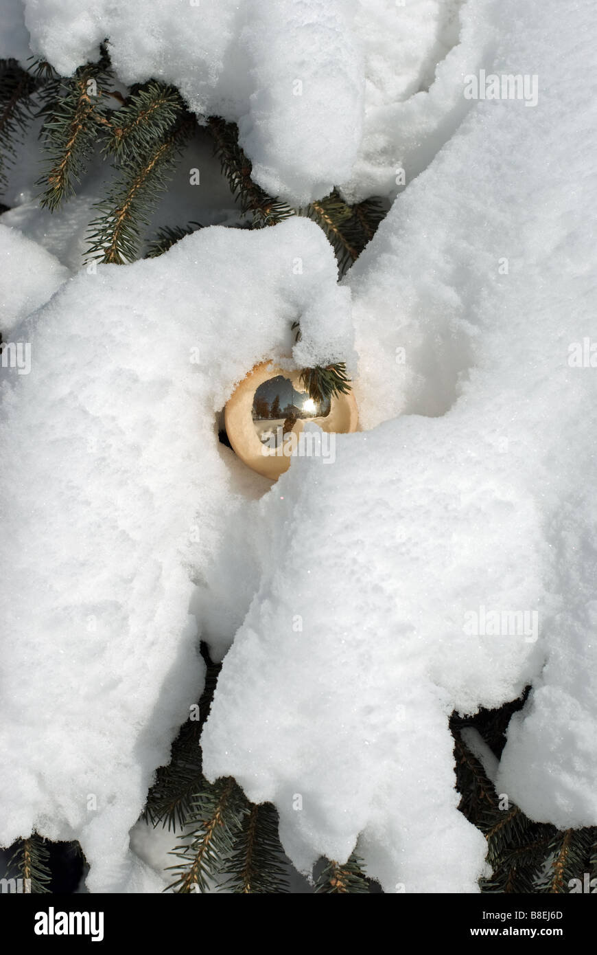 Vertical nature calendar hi-res stock photography and images - Alamy