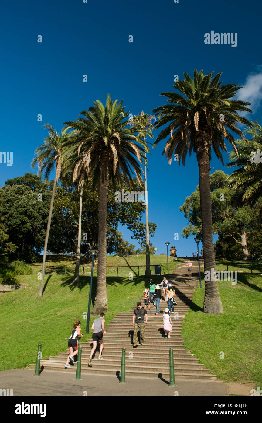 Botanic gardens Sydney NSW Australia Stock Photo - Alamy