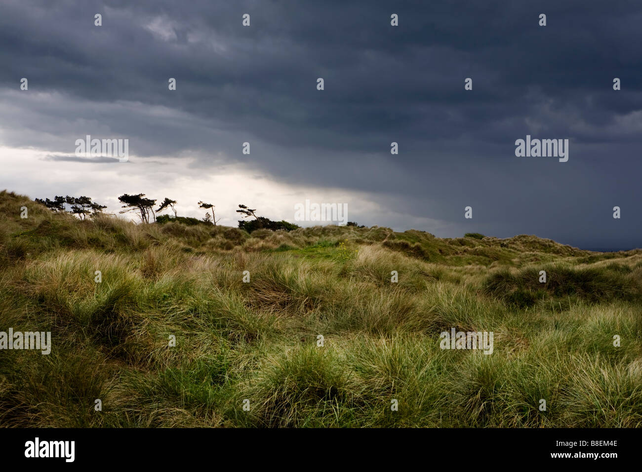 Storm over wetlands of Solway Firth, England UK Stock Photo - Alamy