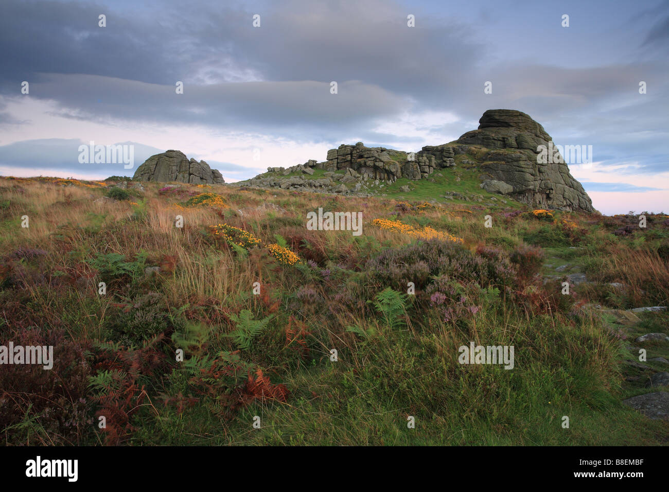 Summer view of Haytor, Dartmoor, Devon, England, UK Stock Photo - Alamy