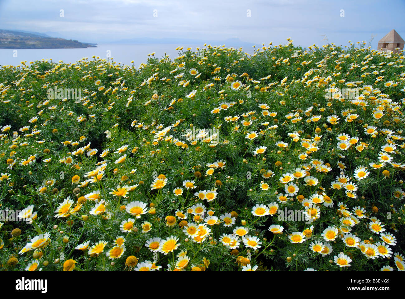 Linear a crete hi-res stock photography and images - Alamy