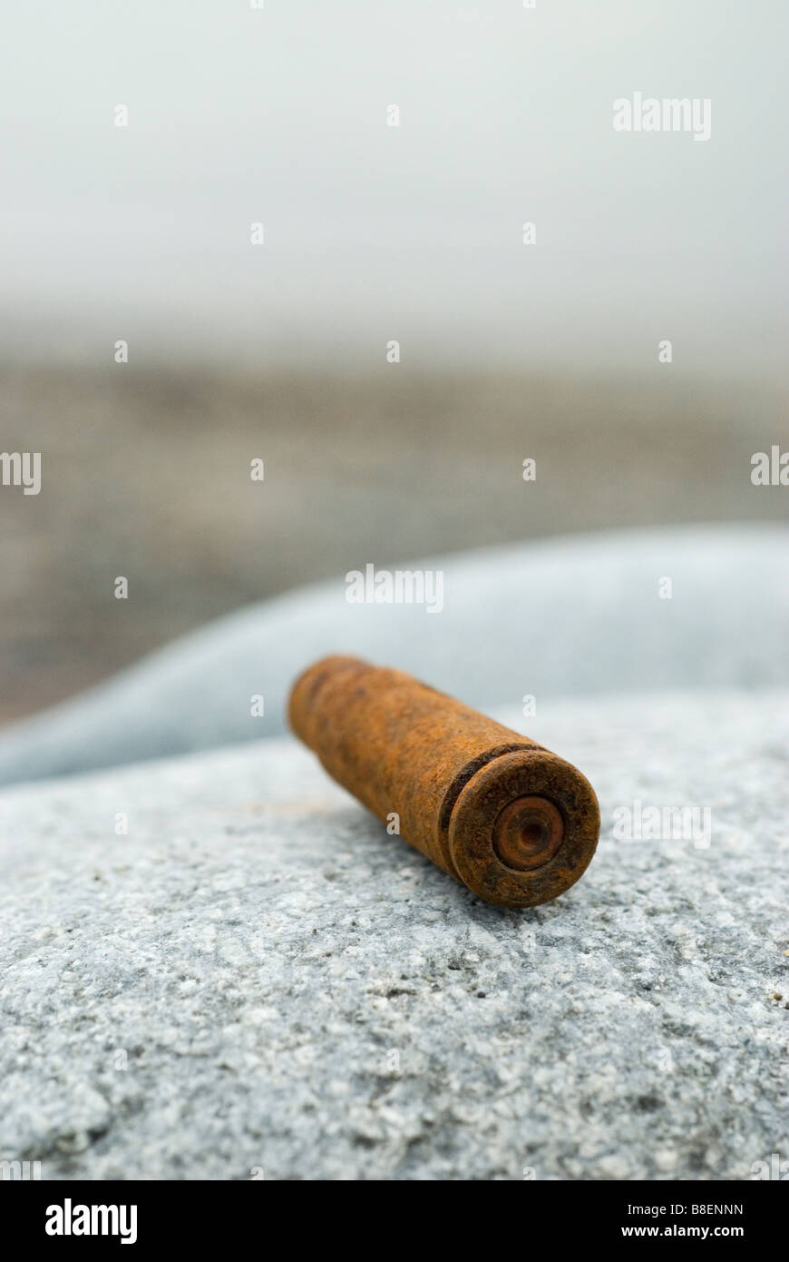 Rusty bullet shell. Single bullet Stock Photo - Alamy