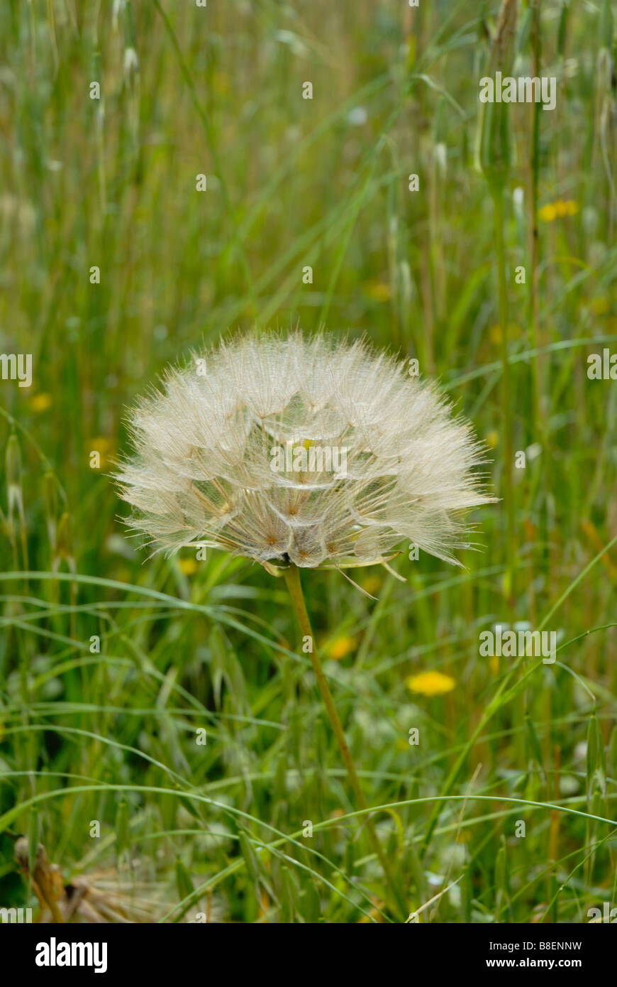 Linear a crete hi-res stock photography and images - Alamy