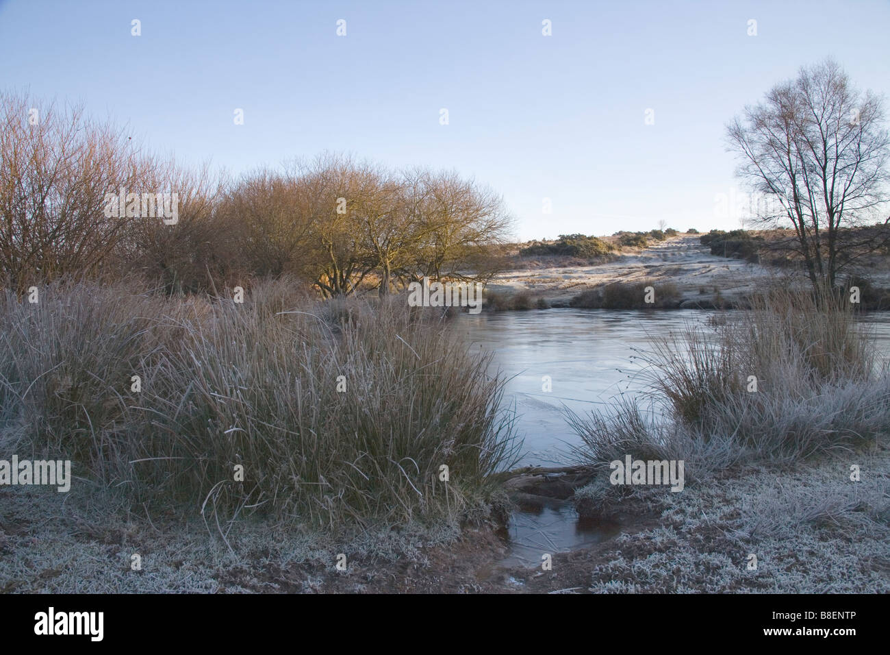 Ashdown forest hi-res stock photography and images - Alamy