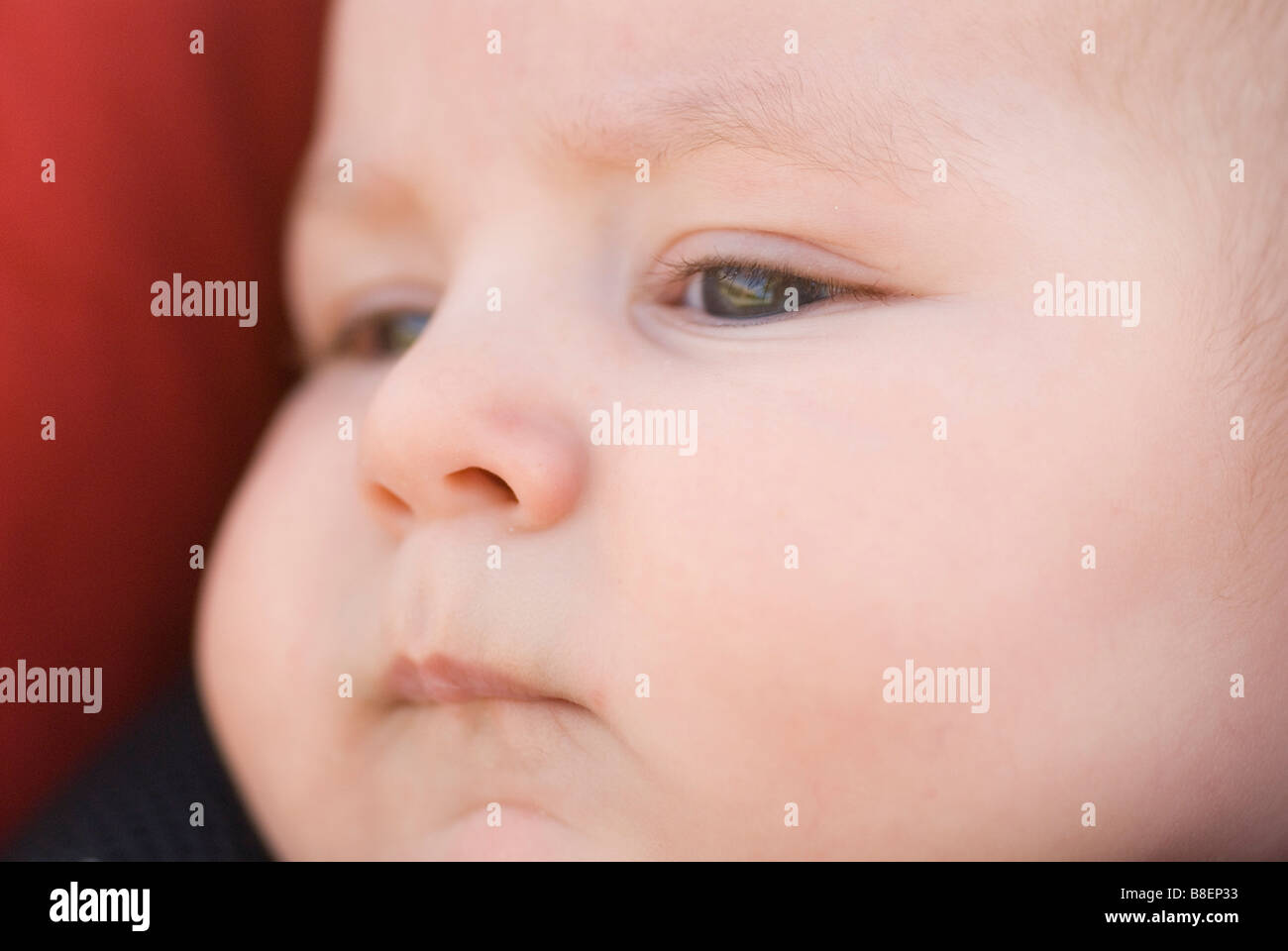 baby on a pram looking forward Stock Photo - Alamy