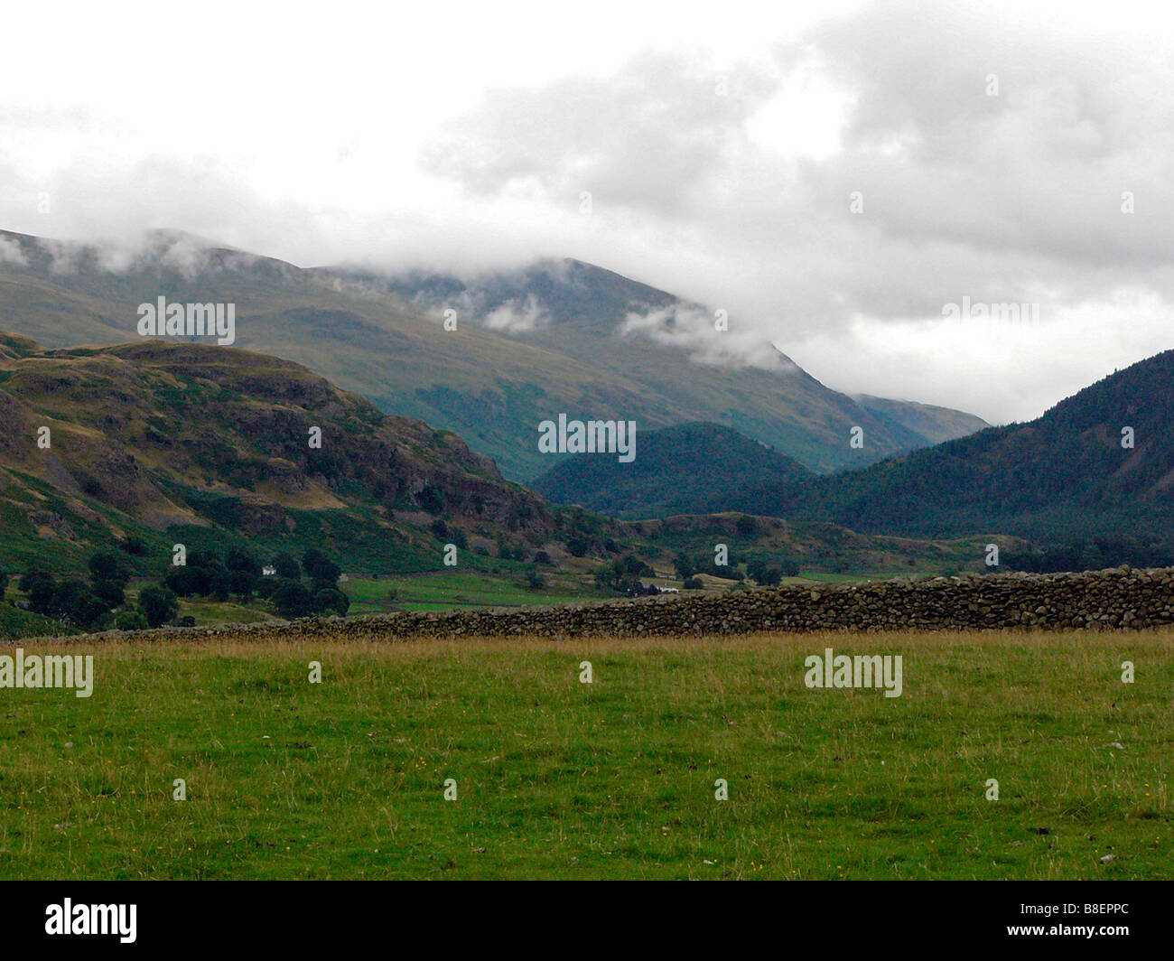 landscape in the lake district with stone walls,mountains and rain ...