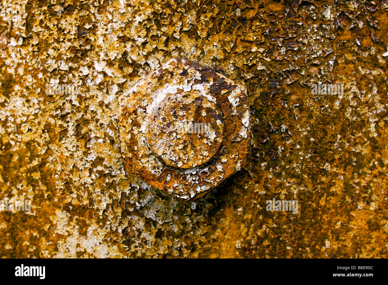 old oxidated screw Stock Photo - Alamy