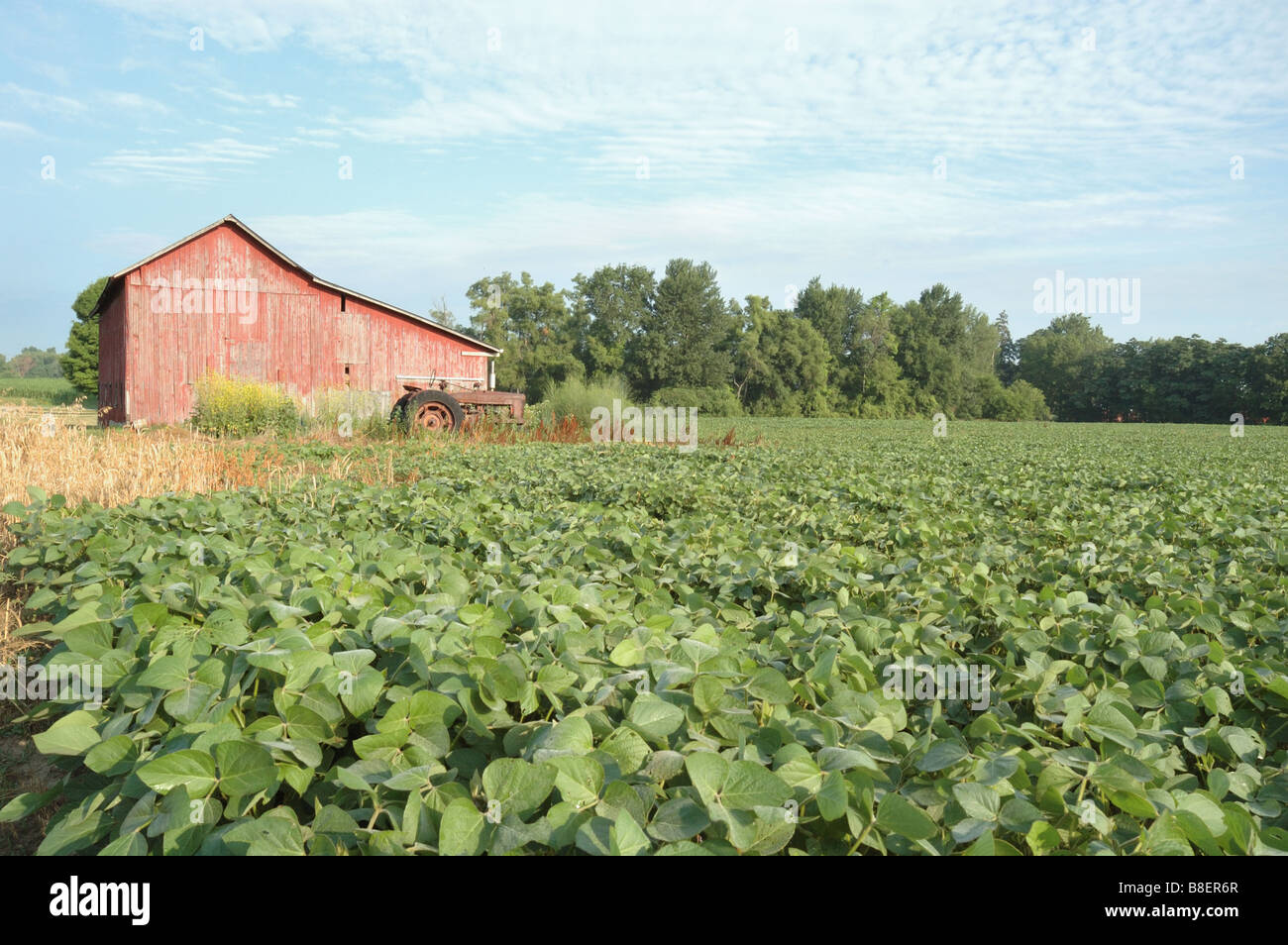 Soy Bean Field And Tractor High Resolution Stock Photography and Images ...