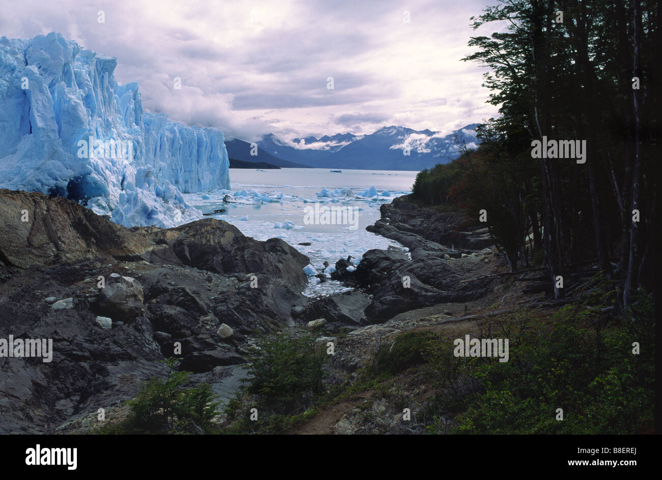 Perito Moreno glacier, Argentina Stock Photo - Alamy