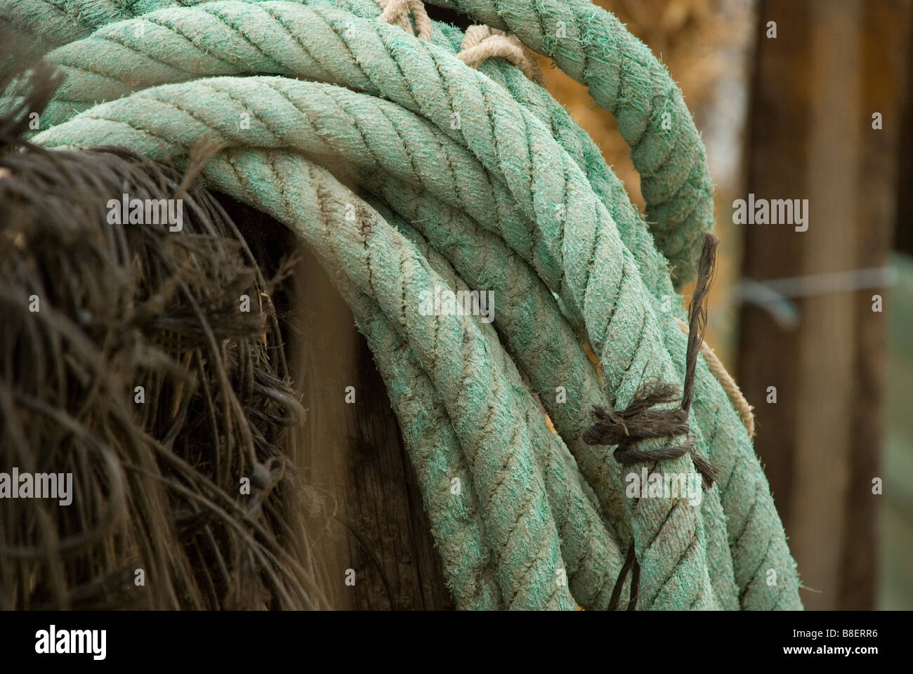 rope and strings farming Stock Photo - Alamy