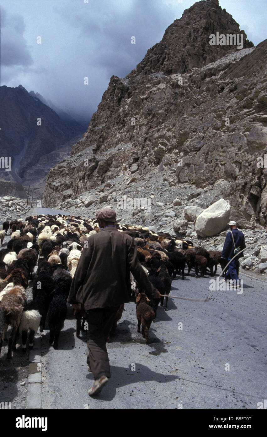 goat and sheep herders near Khunjerab Pass Xinjiang China Stock Photo ...