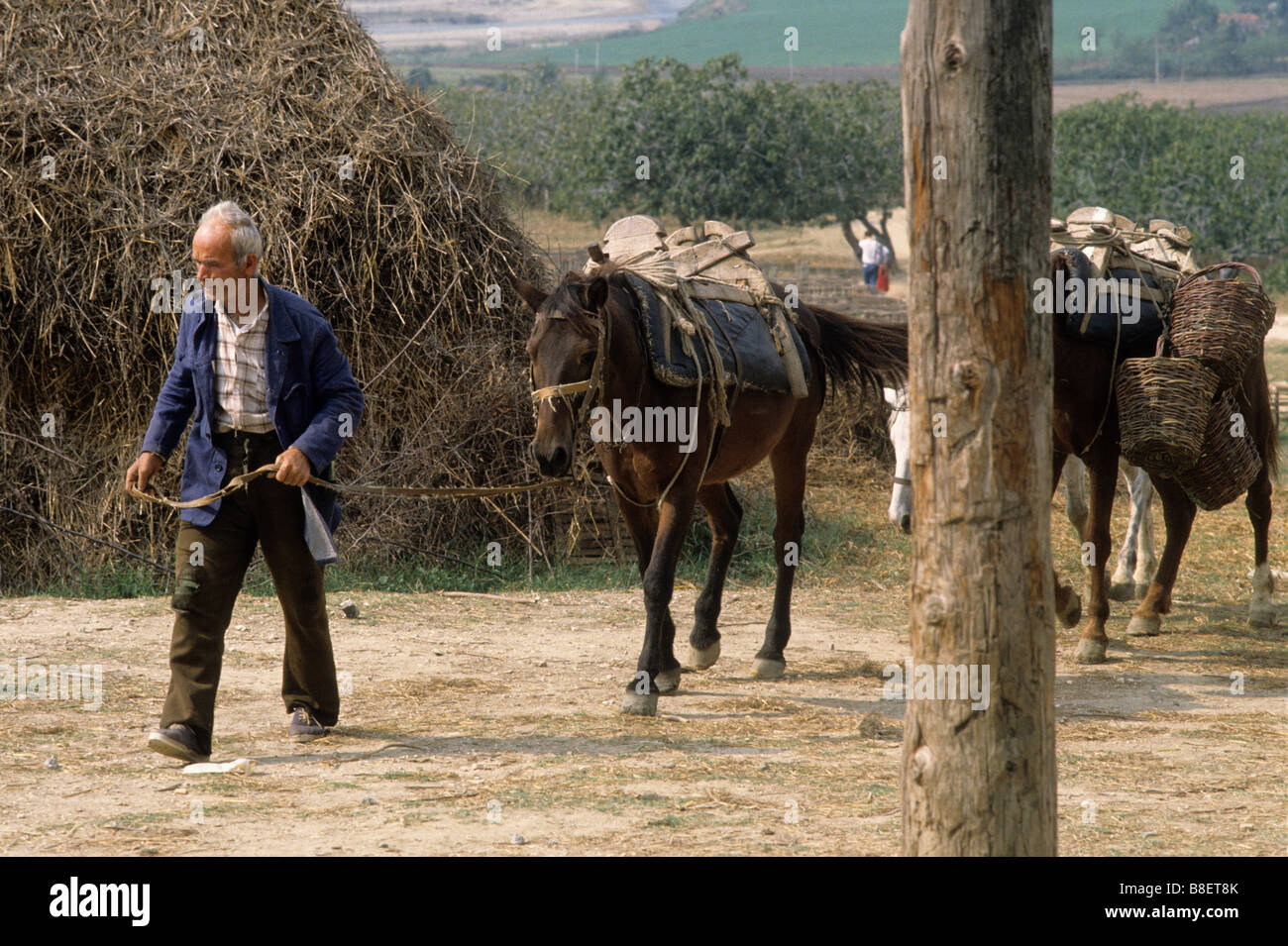 Communist collective farm hi-res stock photography and images - Alamy