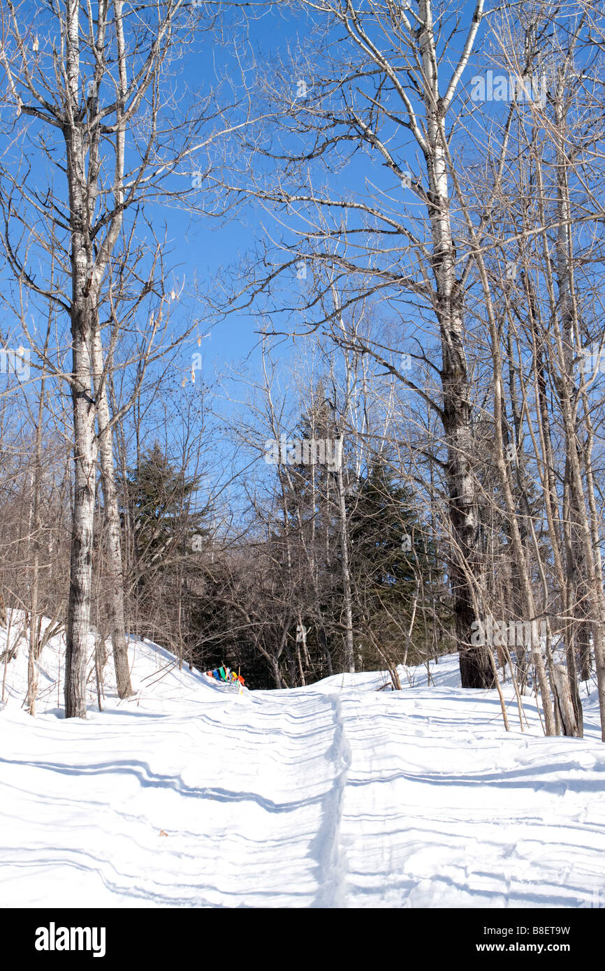hiking trail in winter Stock Photo - Alamy
