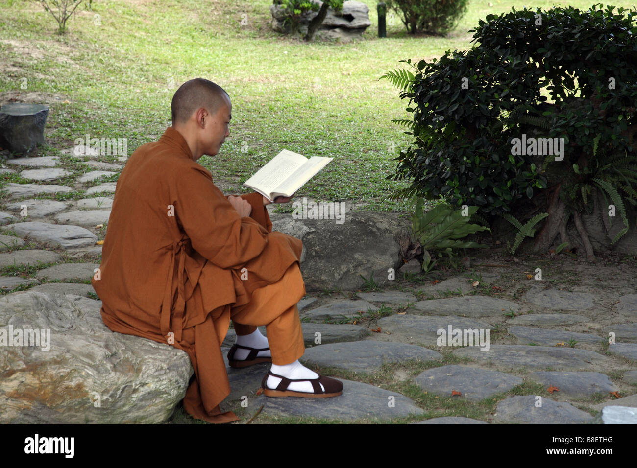 Taiwan, Buddhist monk, reading Stock Photo - Alamy