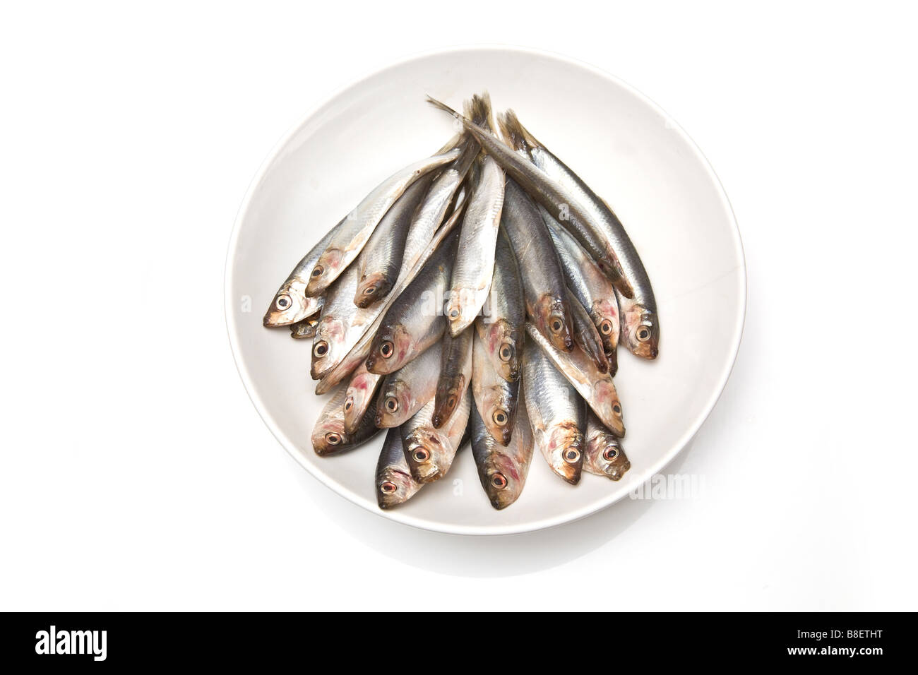 Sprats fish isolated on a white studio background Stock Photo - Alamy