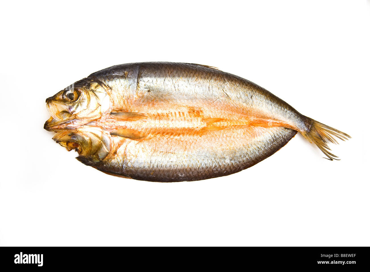 Traditional smoked kipper isolated on a white studio background Stock ...