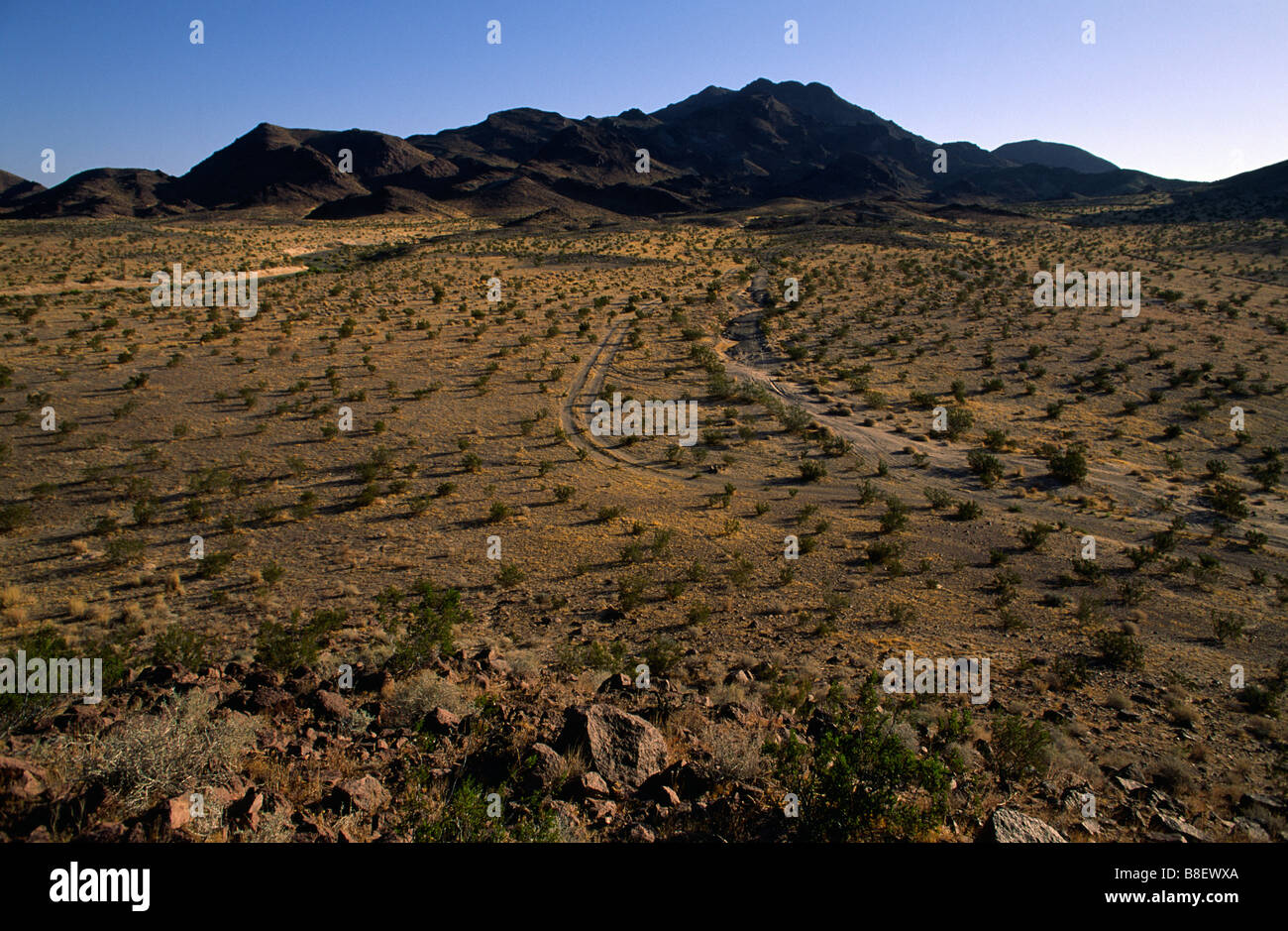 Mojave desert landscape California Stock Photo - Alamy