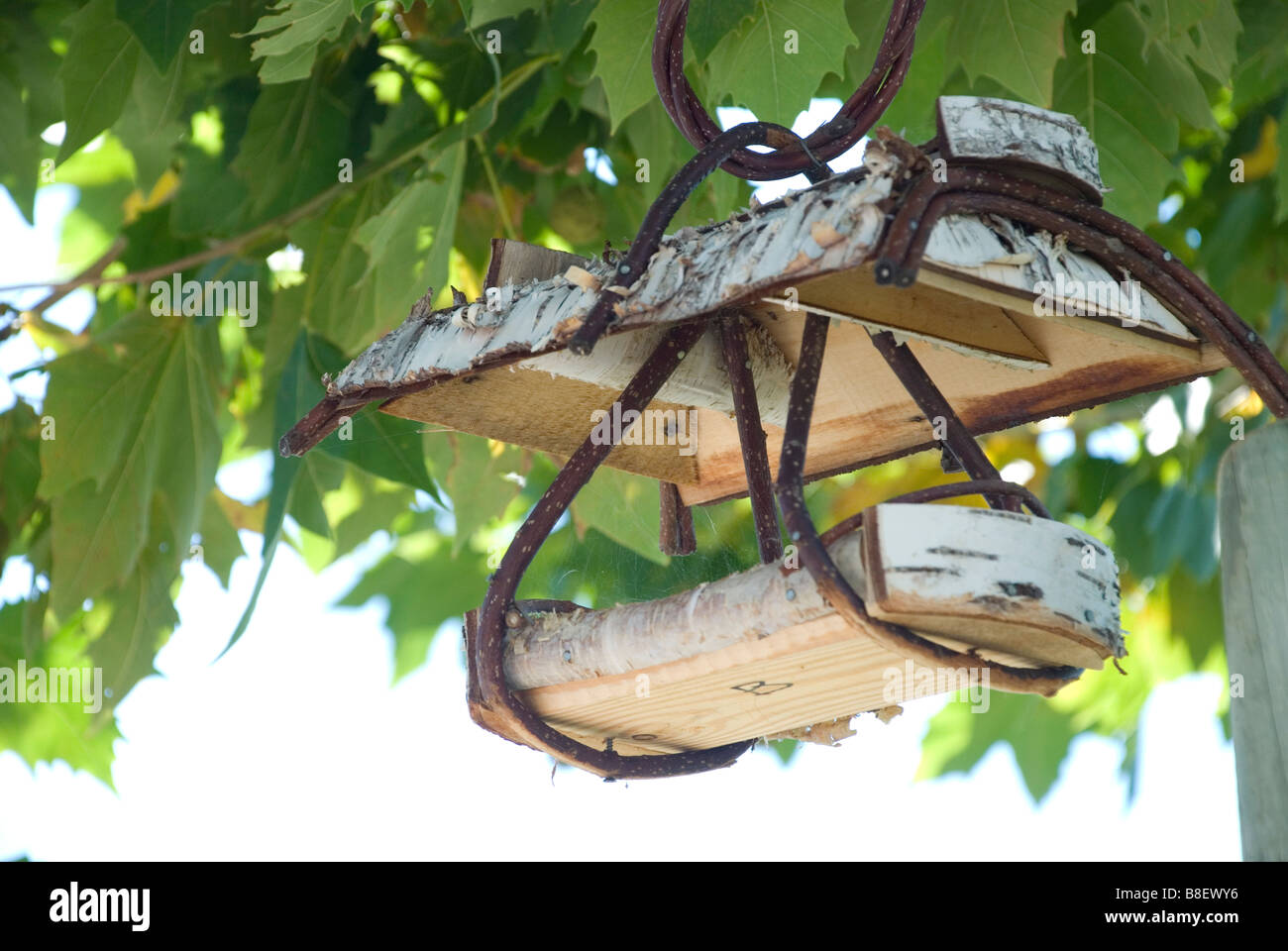 natural bird cage holding on a tree Stock Photo - Alamy