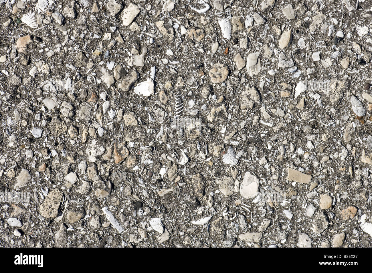 Pavement texture hi-res stock photography and images - Alamy