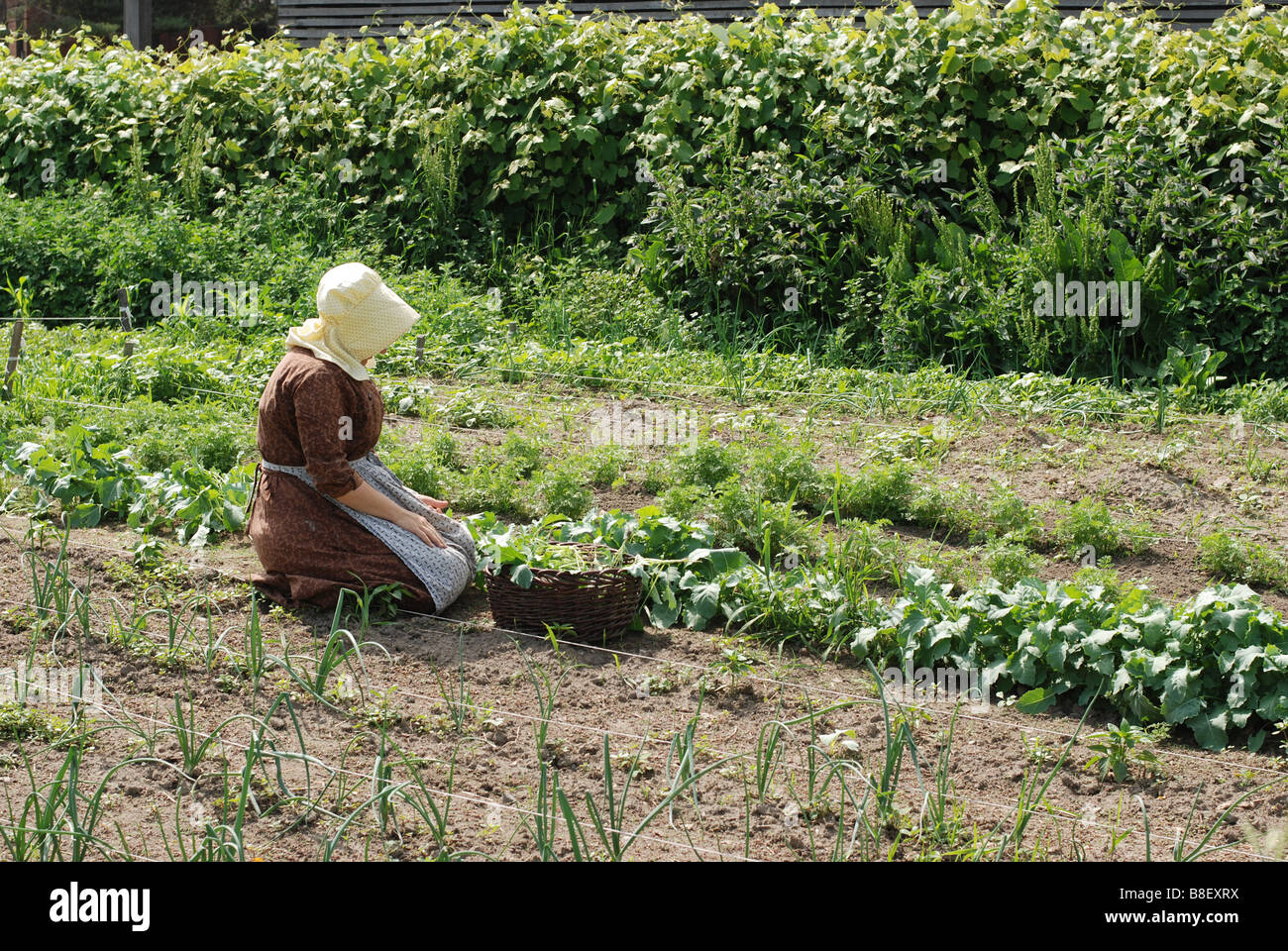 Gardener in a traditional bonnet Stock Photo - Alamy