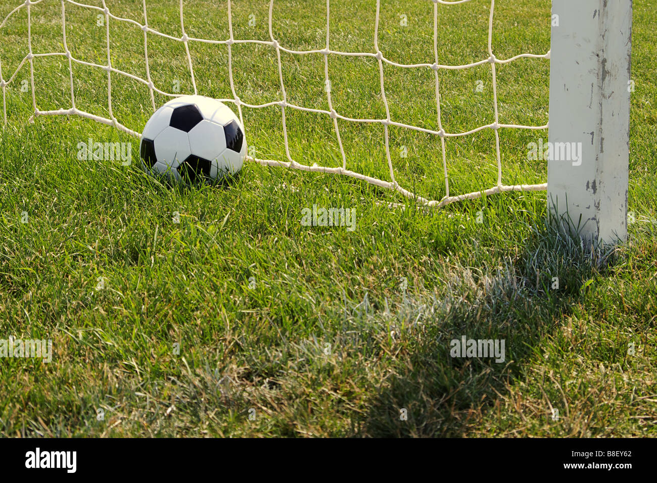 Soccer ball in the goal net Stock Photo - Alamy