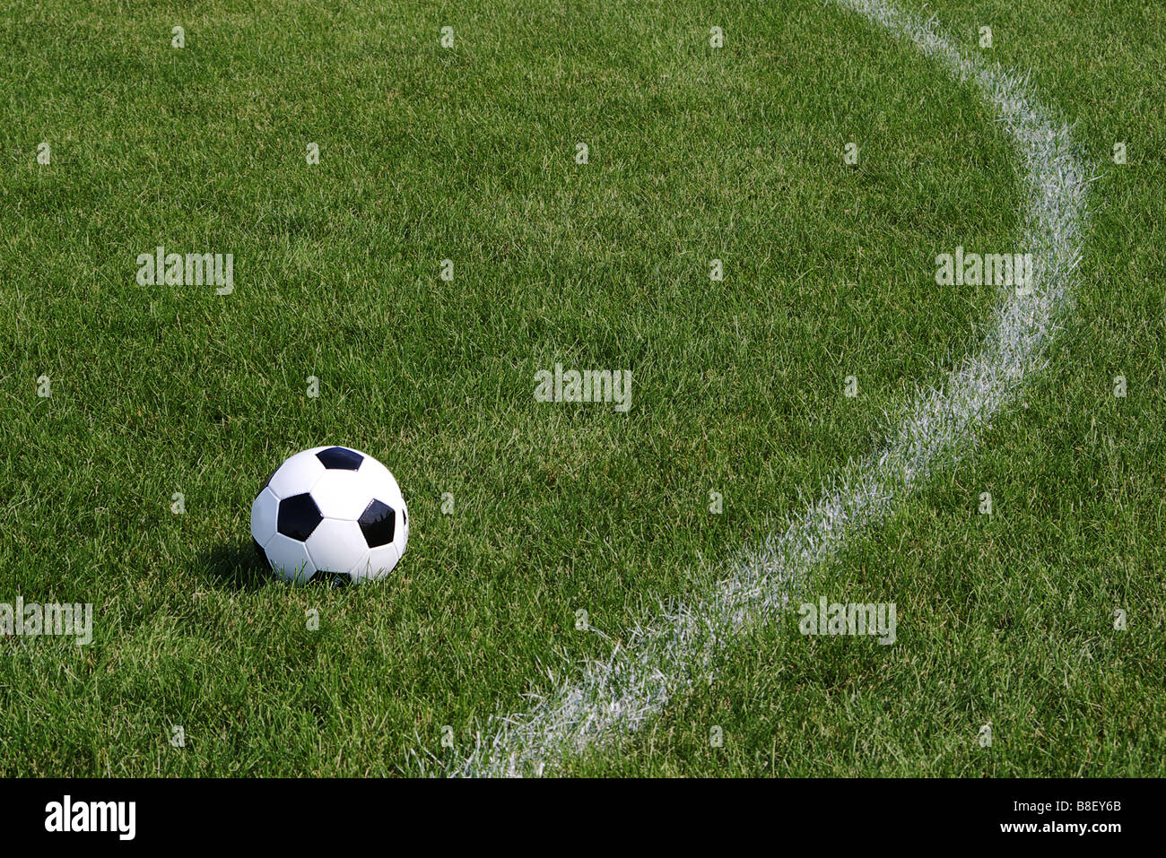 Soccer ball on the field Stock Photo - Alamy