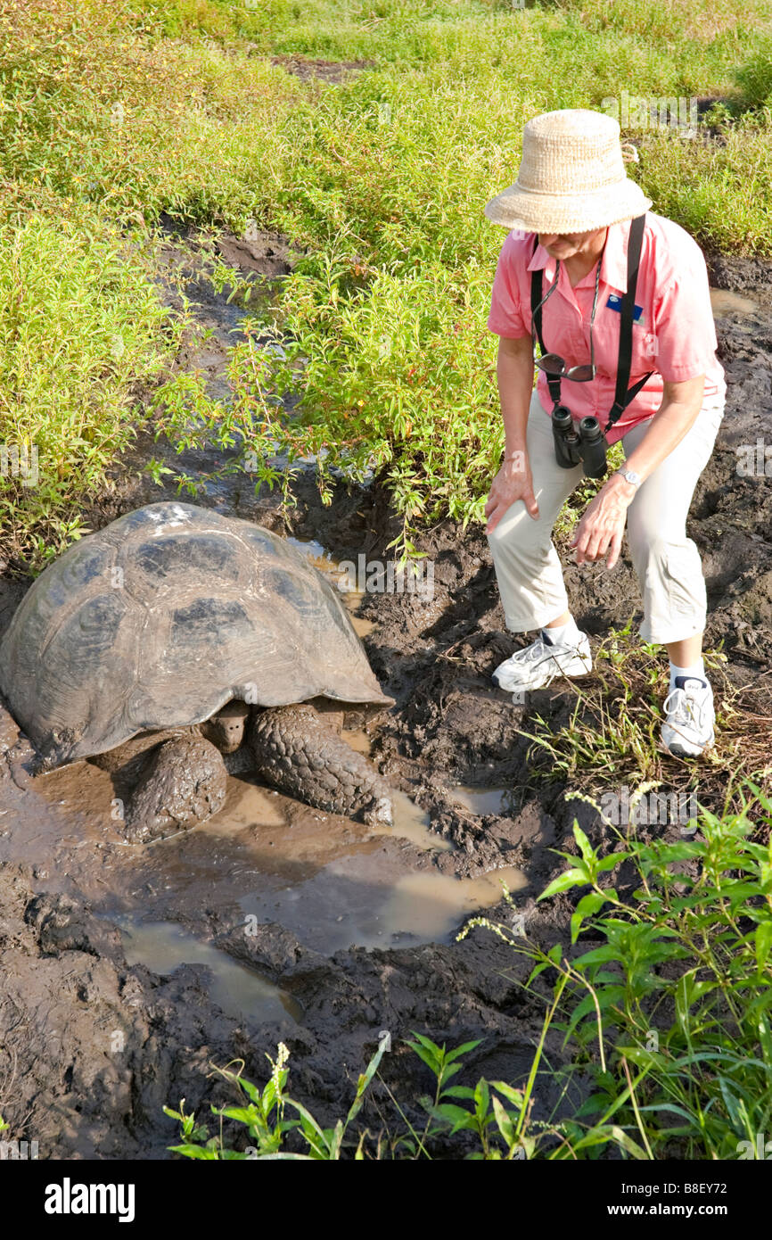 American senior tourist with Giant Tortoise (Geochelone elephantopus ...
