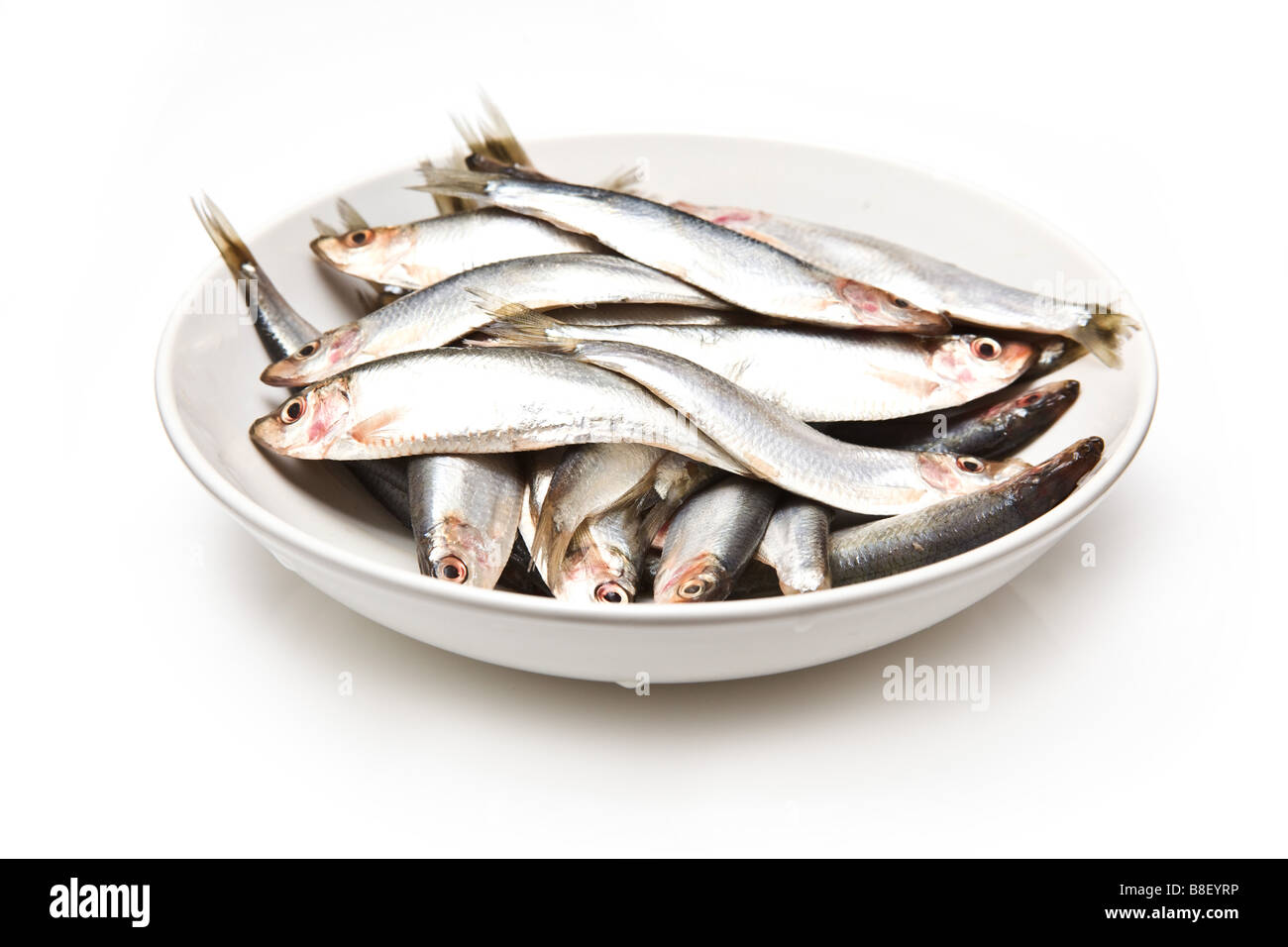 A bowl of small fish Sprats isolated on a white studio background Stock ...