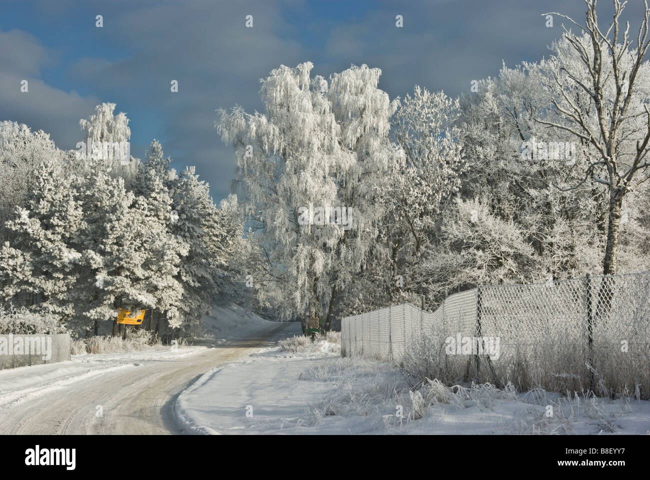 Hoary frost hi-res stock photography and images - Alamy