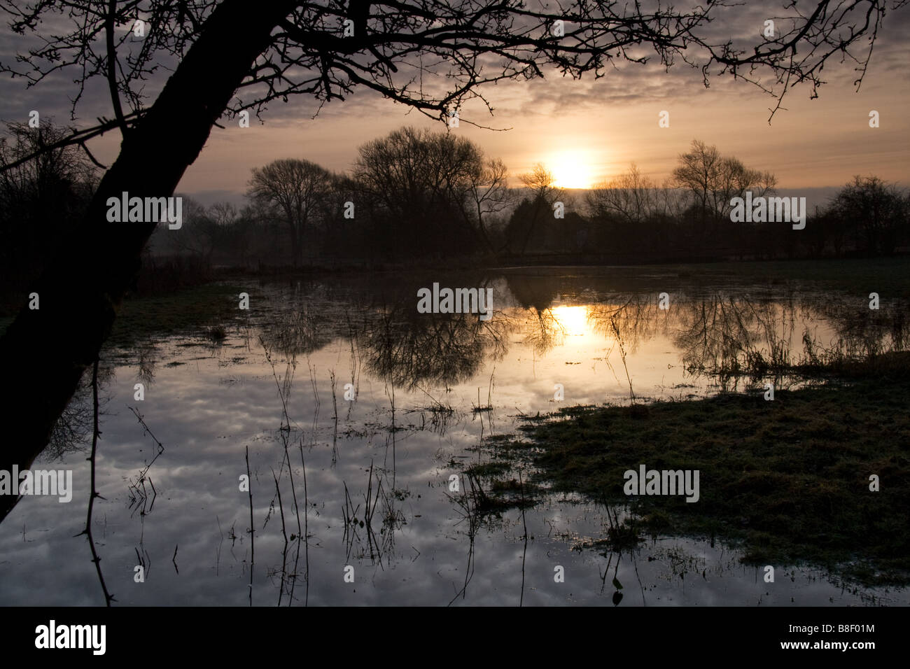 A sunrise over a small pond Stock Photo - Alamy