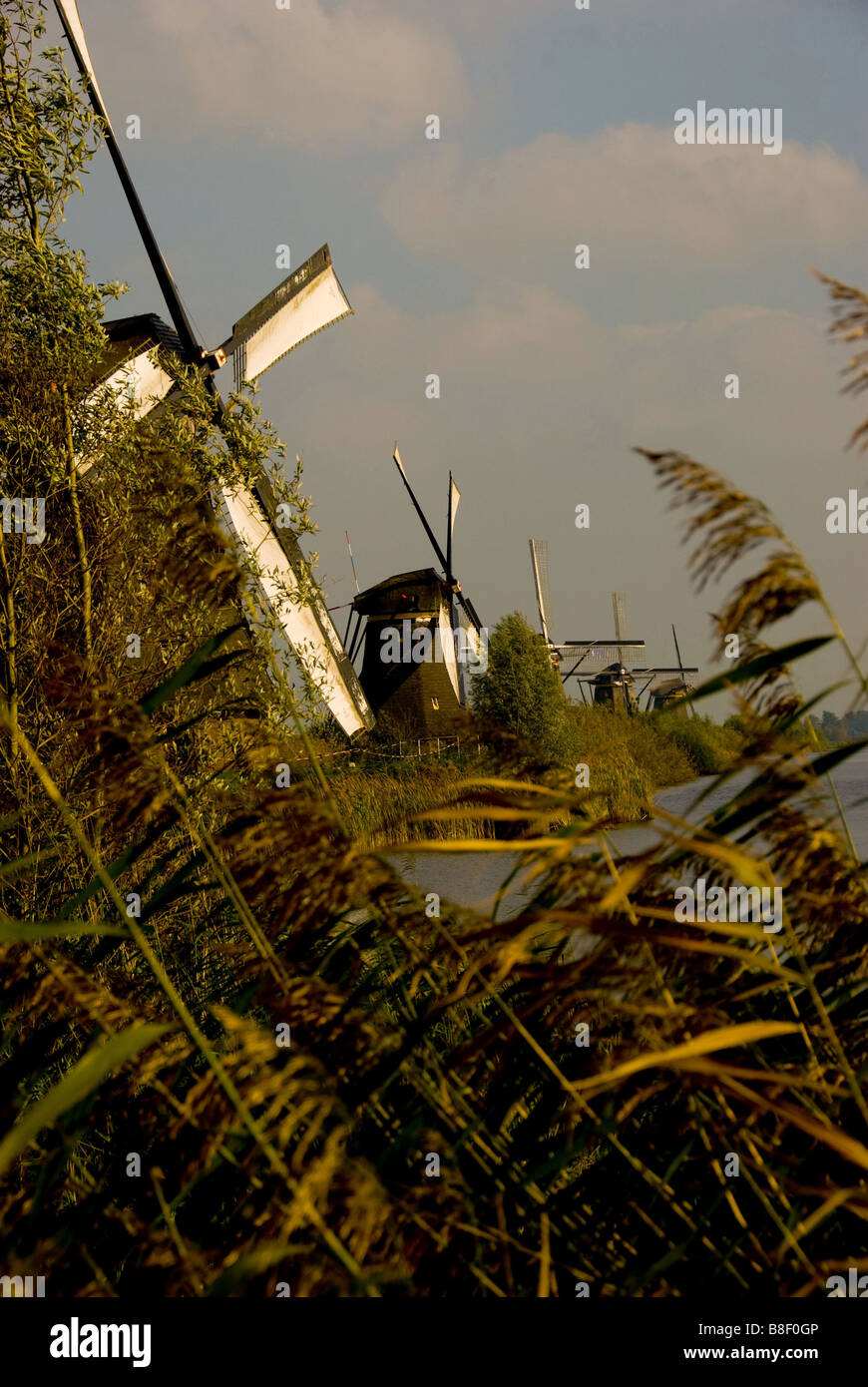Traditional Dutch Windmills Stock Photo - Alamy