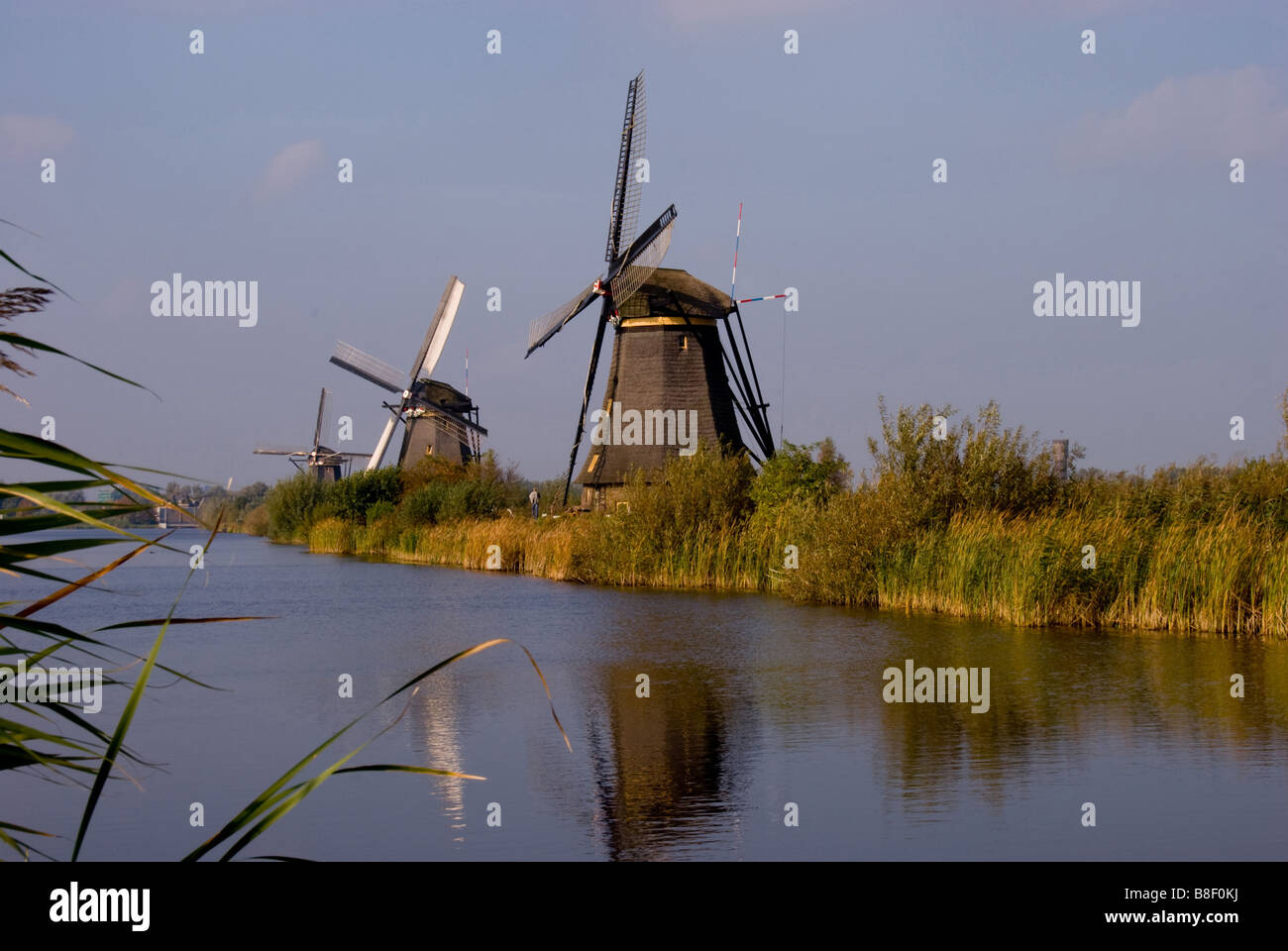 Traditional Dutch Windmills by the River Stock Photo - Alamy