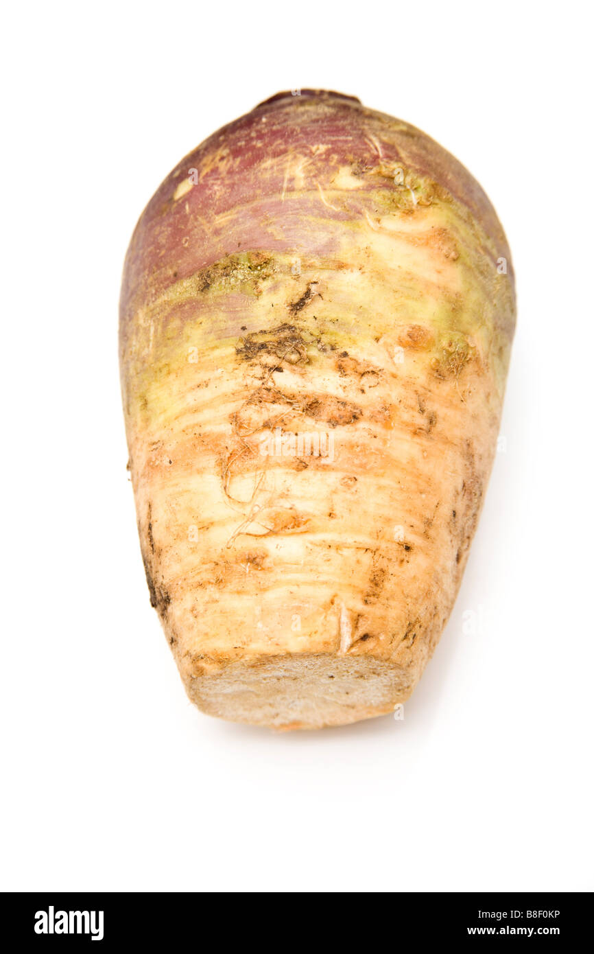 Swede isolated on a white studio background Stock Photo - Alamy