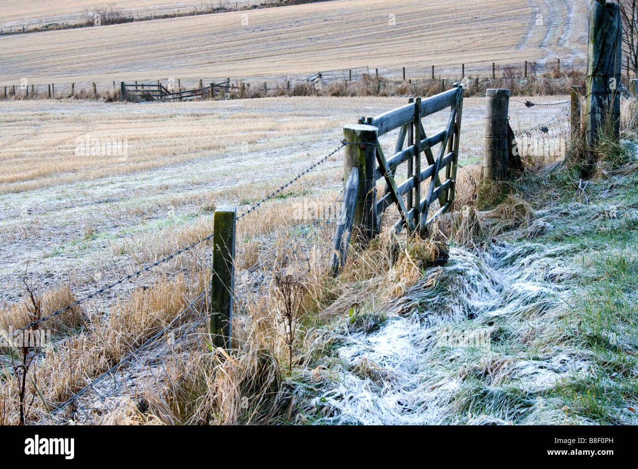 A frosty scene on a cold winter's day in Scotland Stock Photo - Alamy
