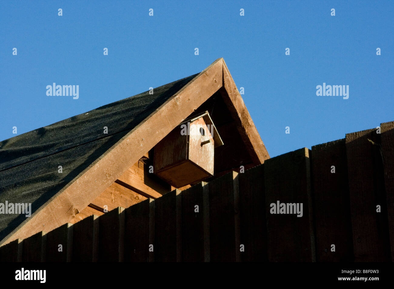 Bird house on outside of large shed Stock Photo - Alamy