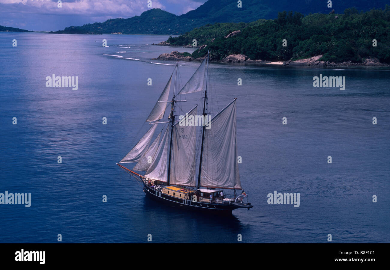 The Sailing Yacht Sea Shell Stock Photo - Alamy