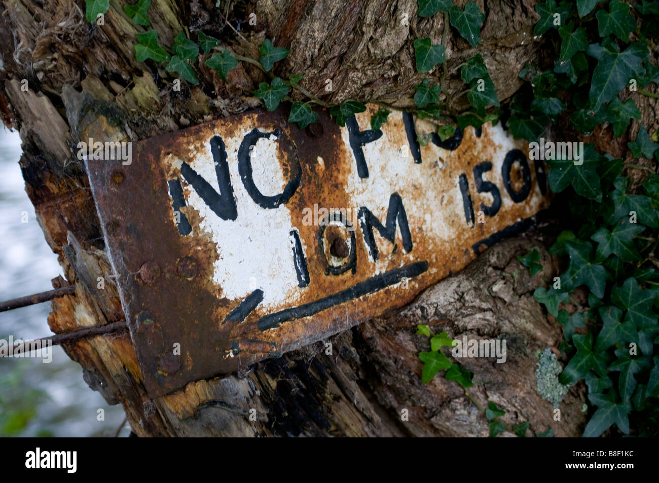No tree cutting sign hi-res stock photography and images - Alamy