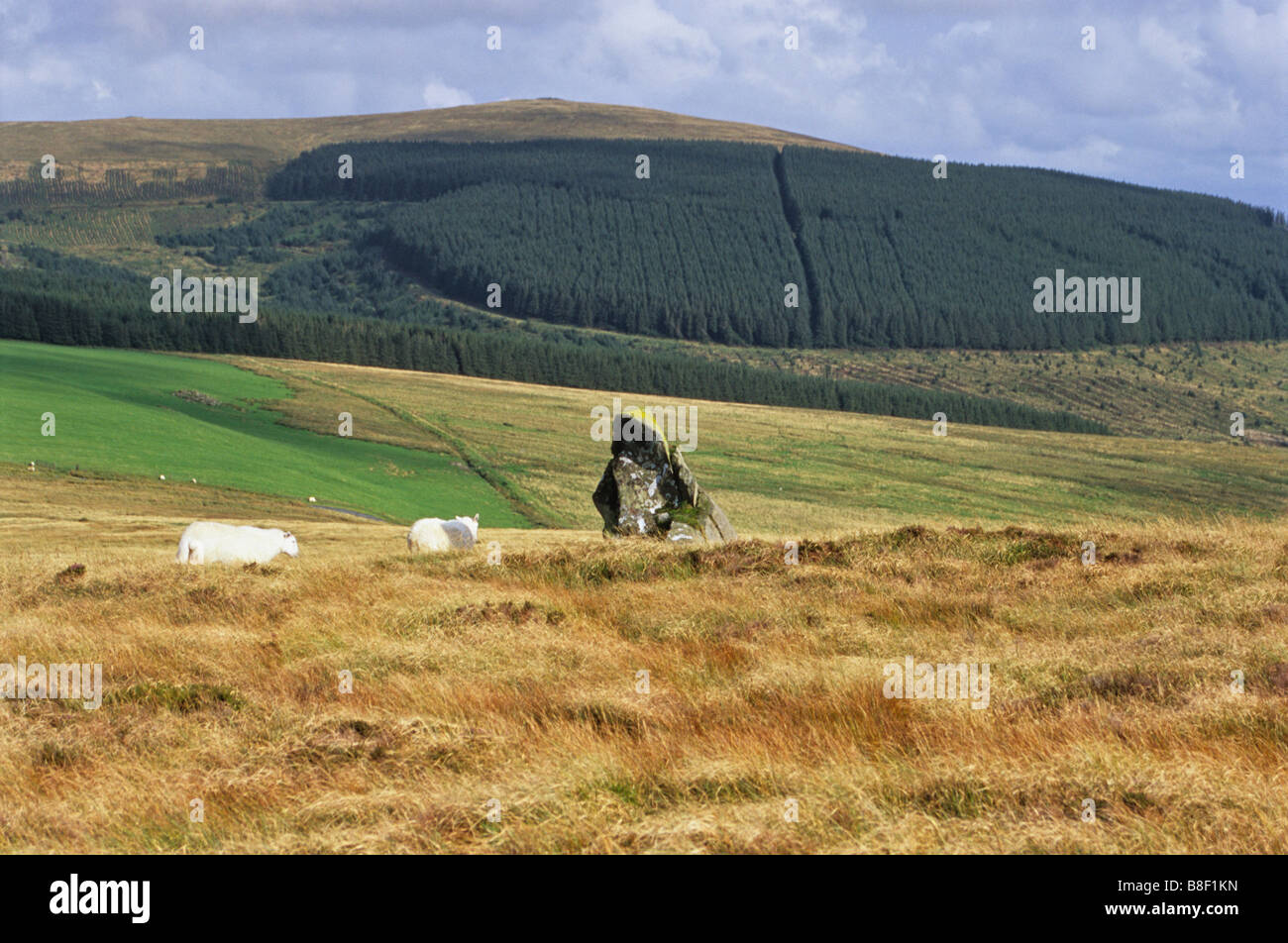 Foel eryr view hi-res stock photography and images - Alamy