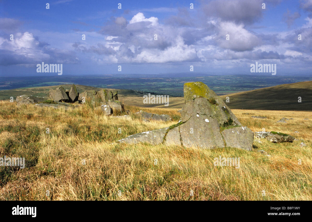 Boulders, Foel Eryr, Preseli Mountains, Wales, UK Stock Photo - Alamy
