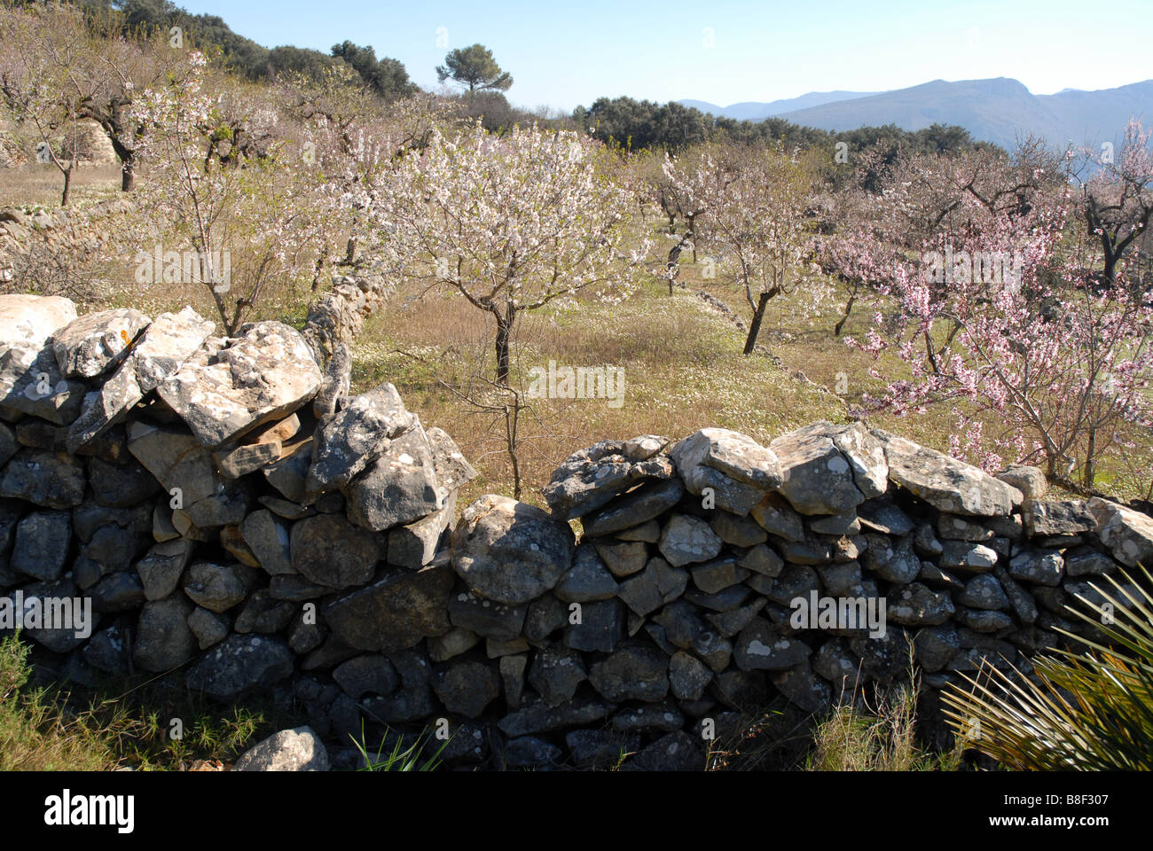 Crumbling stone wall hi-res stock photography and images - Alamy