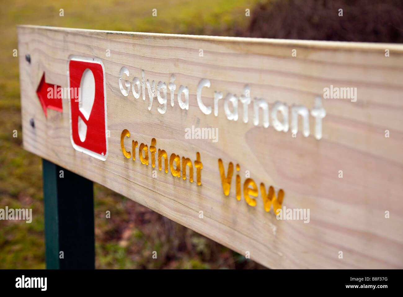 Wooden timber sign showing the way to the picturesque lake of Llyn ...