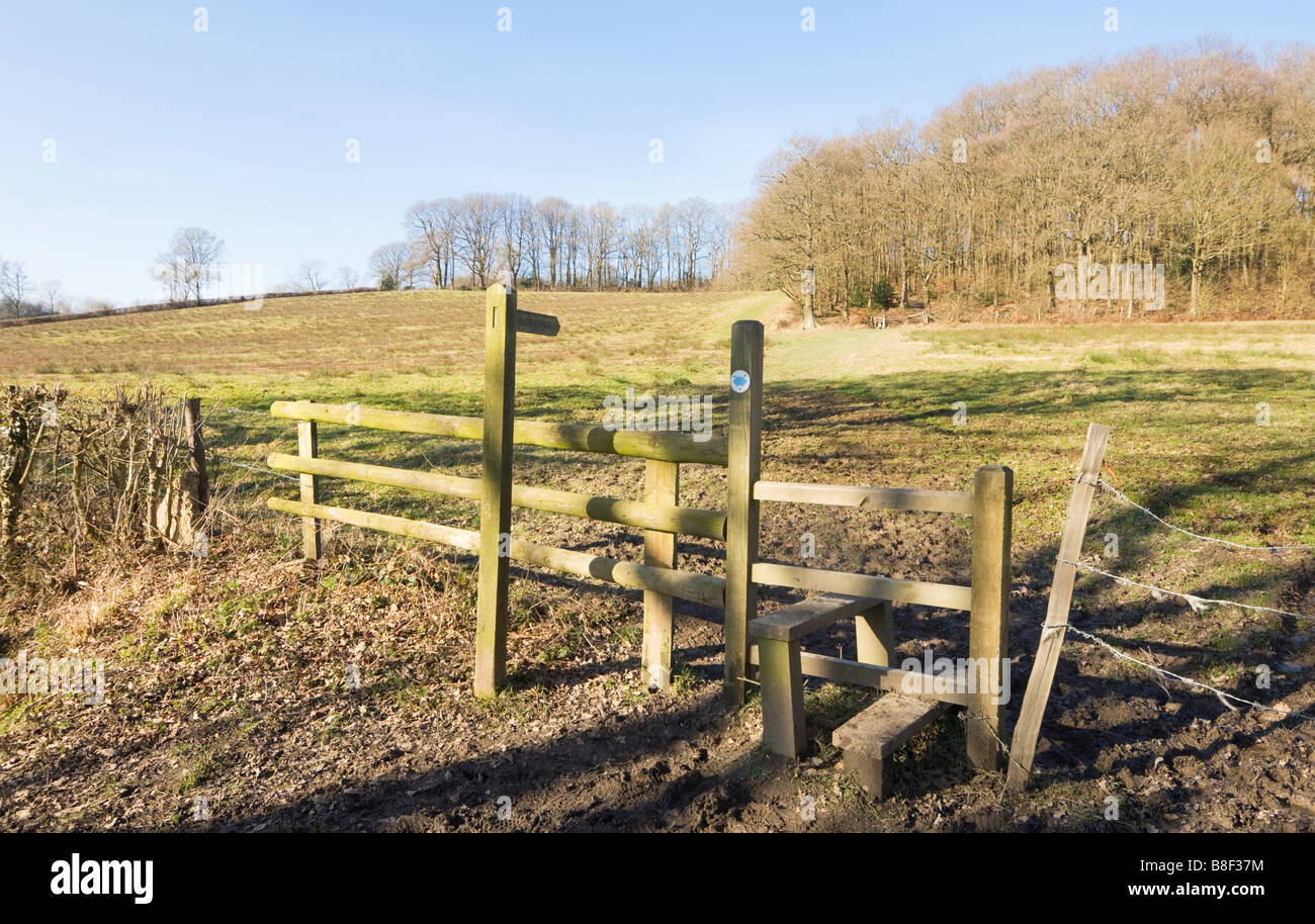 Surrey countryside hi-res stock photography and images - Alamy