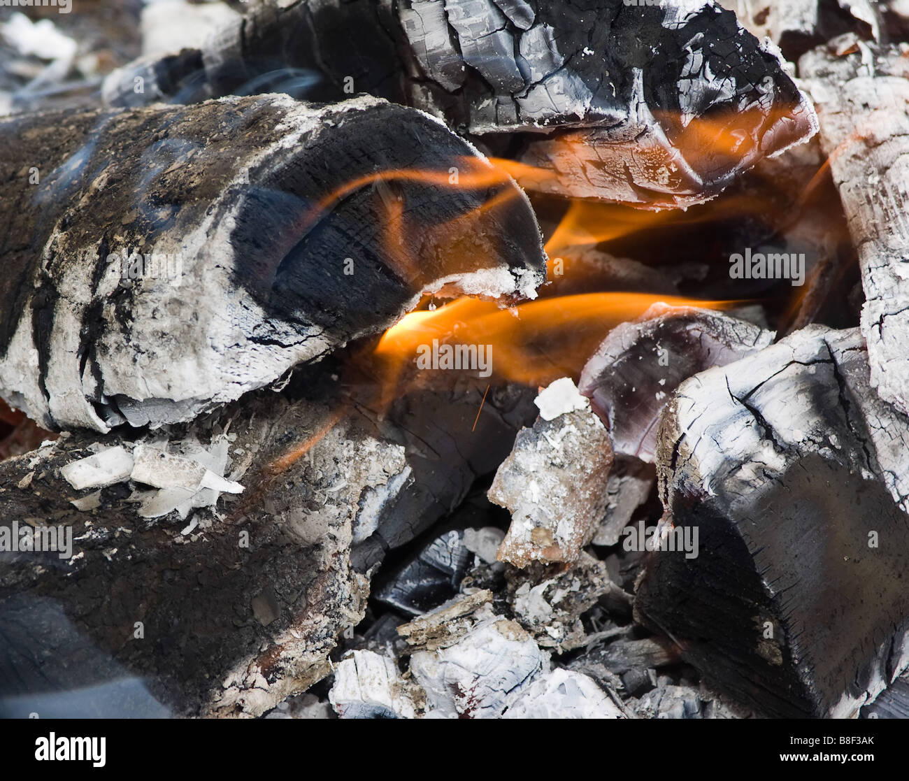 flame of log fire and glowing ember Stock Photo - Alamy