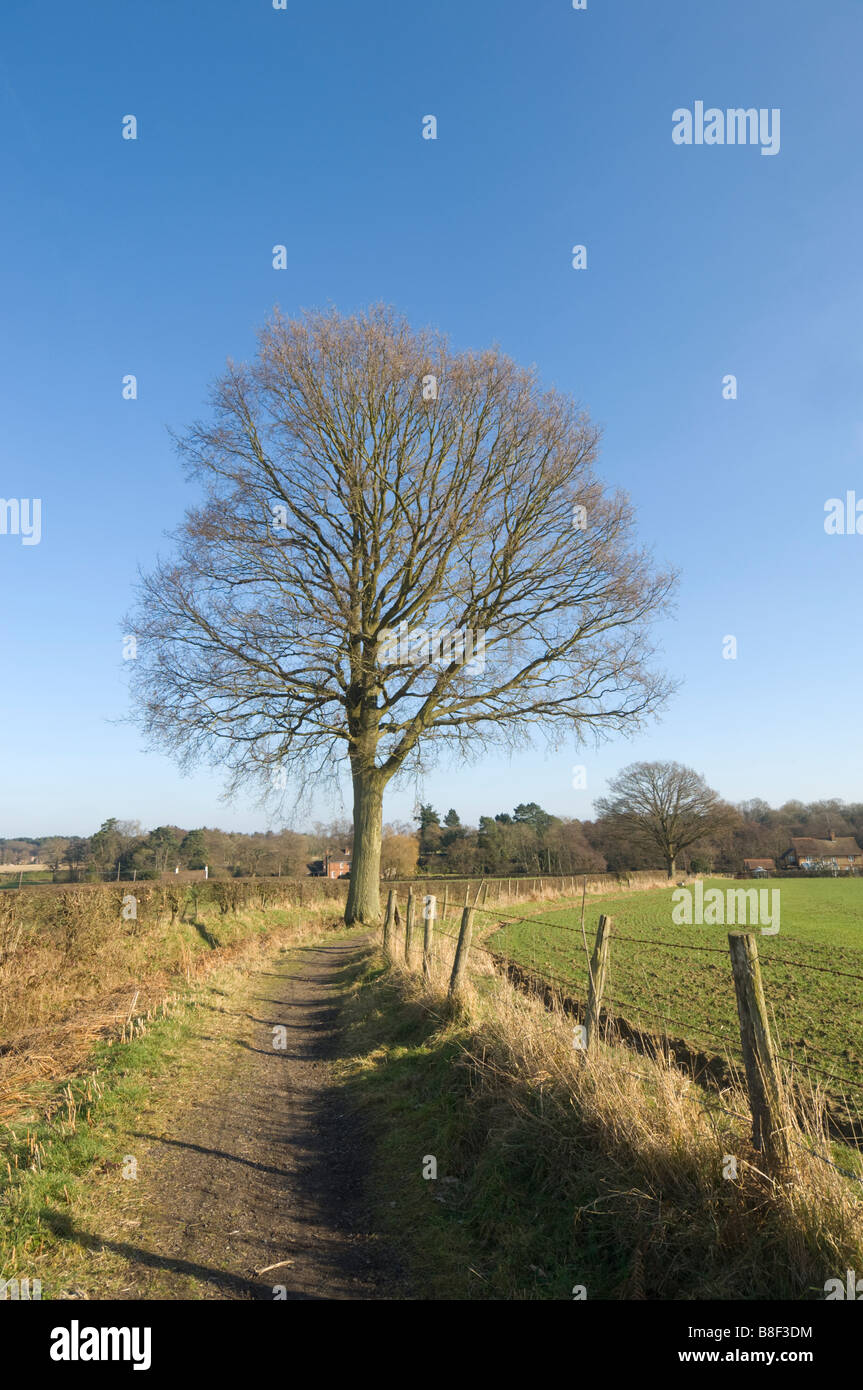 Surrey Countryside High Resolution Stock Photography and Images - Alamy