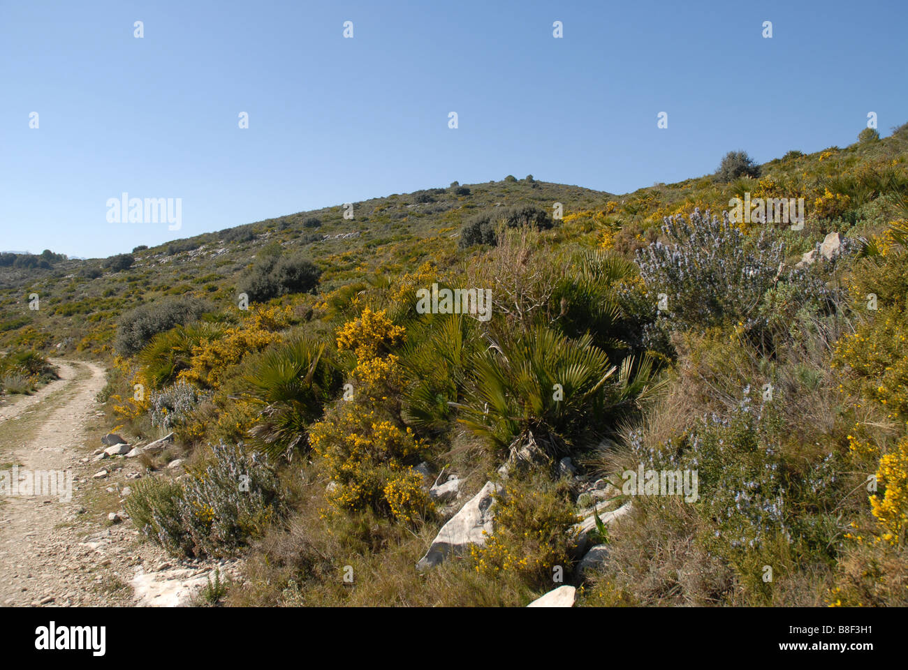 mountain track, near Benimaurell, Vall de Laguar, Alicante province ...