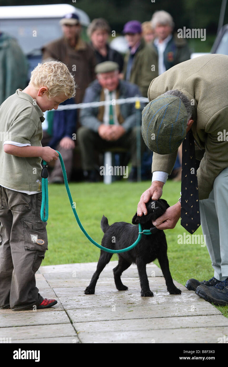 Terrier Show Judging Stock Photo - Alamy