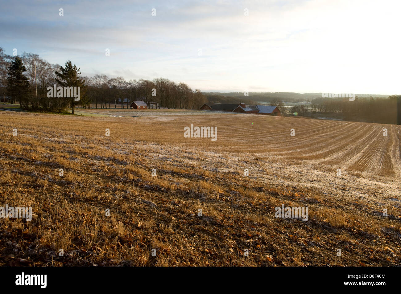 Hillside farming hi-res stock photography and images - Alamy