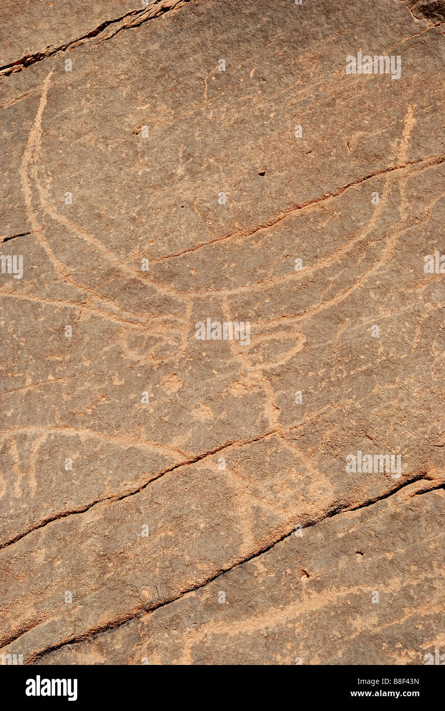 Rock engravings in In Awiss Stock Photo - Alamy
