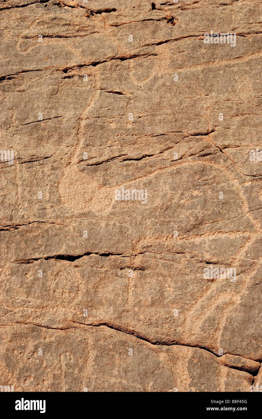 Rock engravings in In Awiss Stock Photo - Alamy